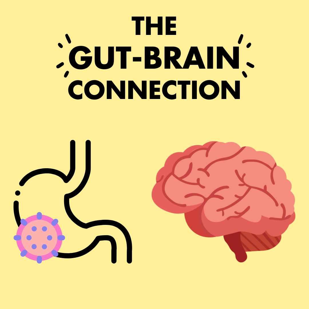 The gut-brain connection – Happy Inside